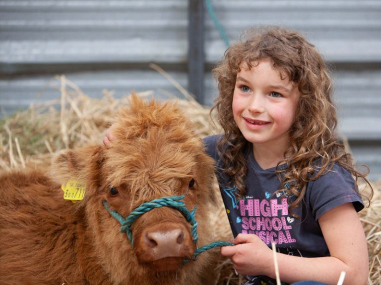 Royal Three Counties Show returns with a fun-filled day out like no ...